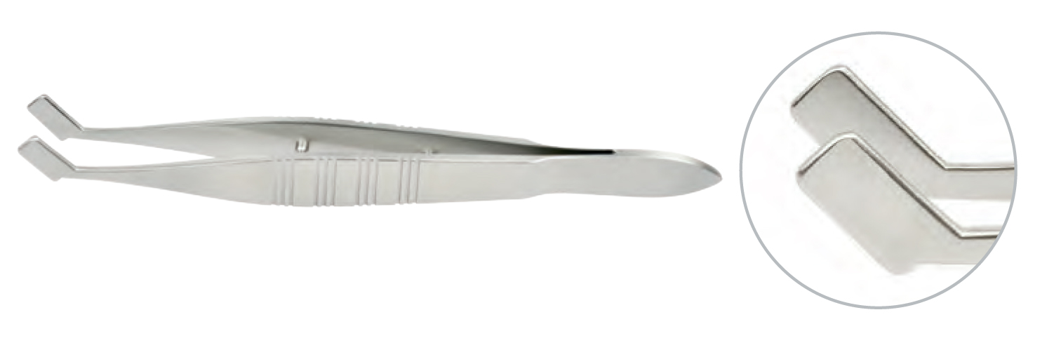 BRUDER Rectangular Expressor